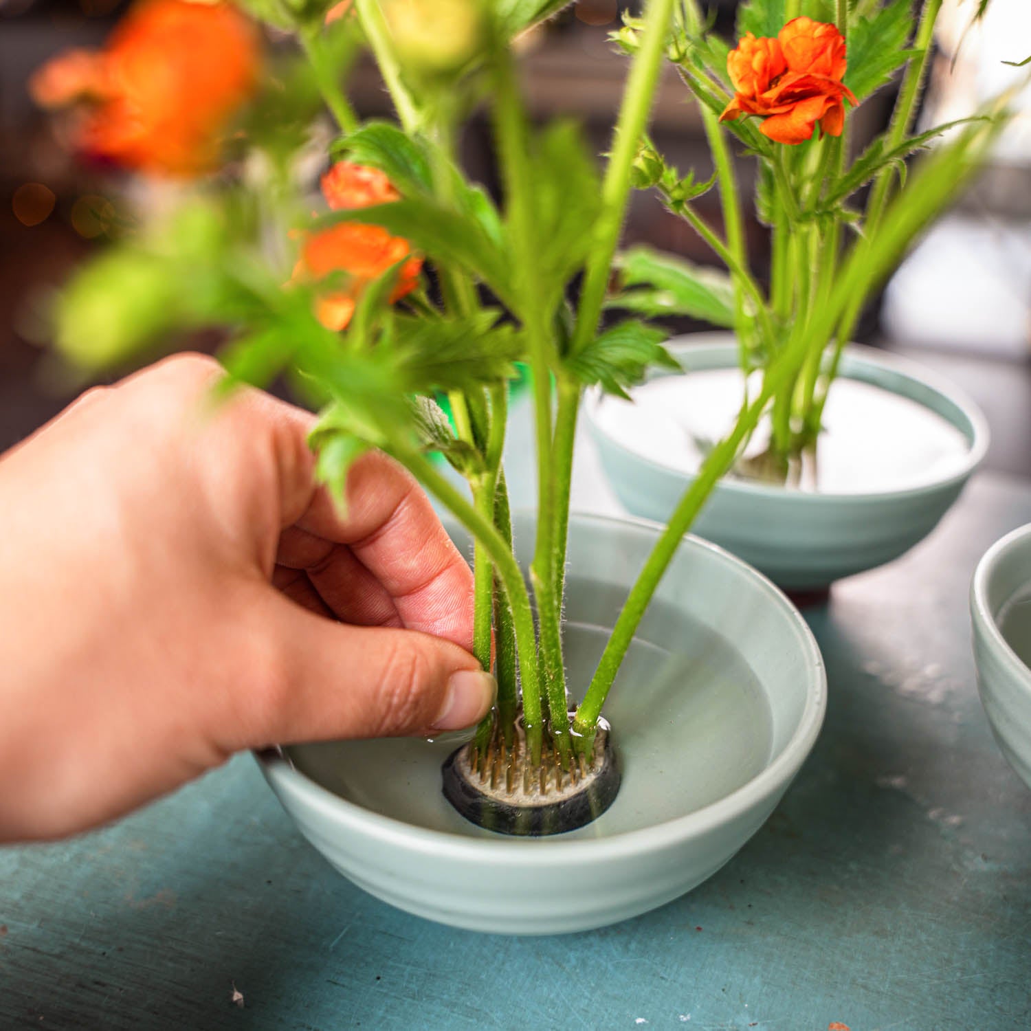 Hanataba Guide: Using Tulips in a Bouquet Twister or Kenzan – Hanataba.co